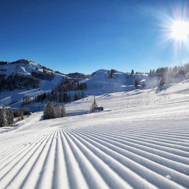 Skigebiet Ski amadé ︎ Top 1 Skiregion in Österreich