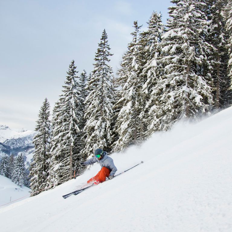 Skigebiet Ski amadé ︎ Top 1 Skiregion in Österreich